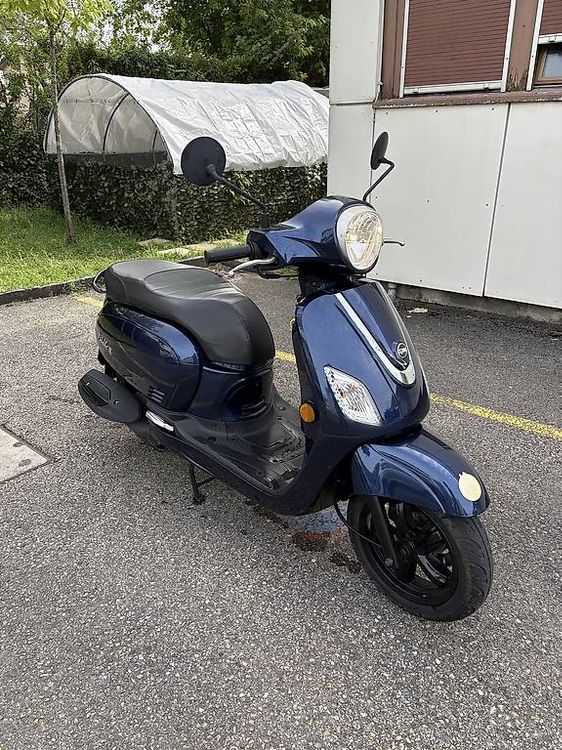 Sym Fiddle 3 125cc 2500km (Gebraucht) in Neuchâtel für CHF 1700 – nur ...