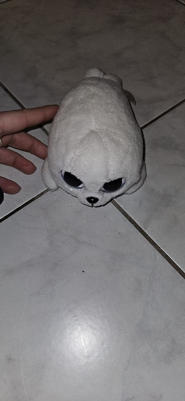 Adorable peluche Ty Beanie Boo's polaire aux yeux bleus (Neuf (Voir ...