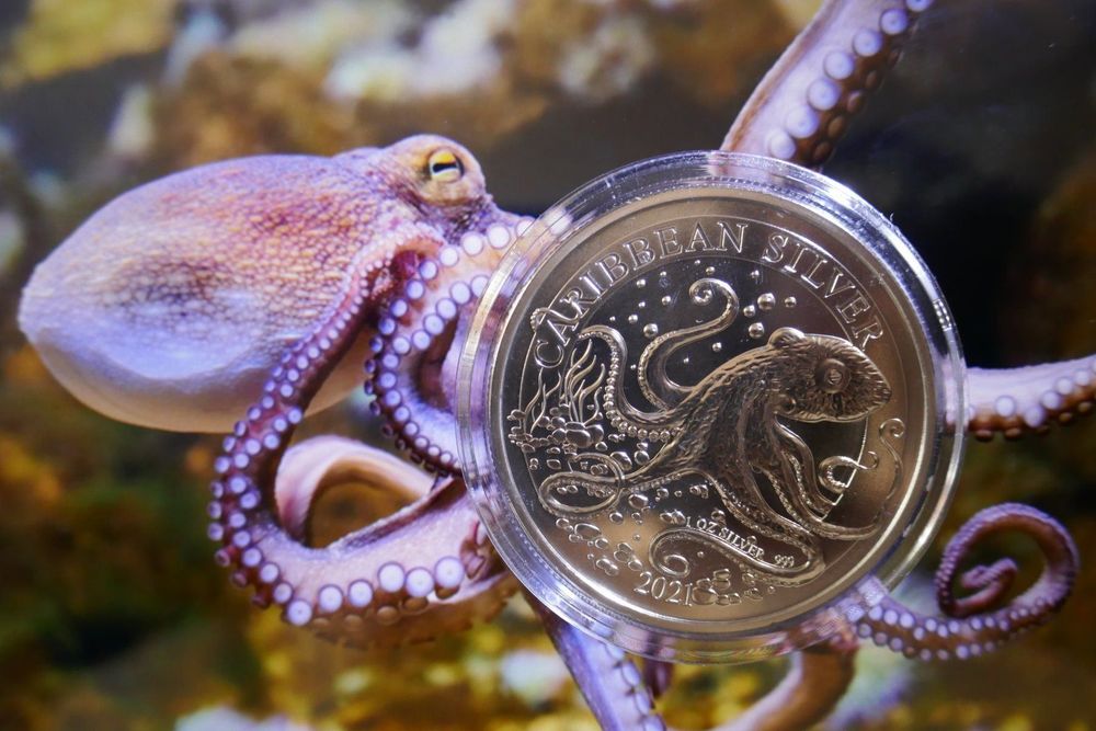 1 oz Silber 999 /OCTOPUS/Barbados NEU!! (Neu und originalverpackt) in ...