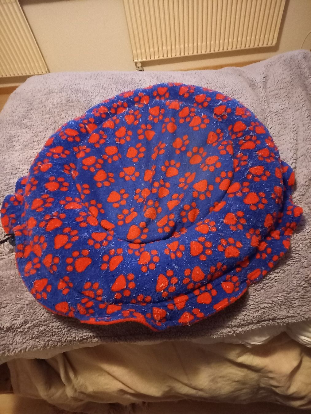 Katzen-oder Hundebett (Gebraucht) in NIEDERBUCHSITEN für CHF 15 – nur ...