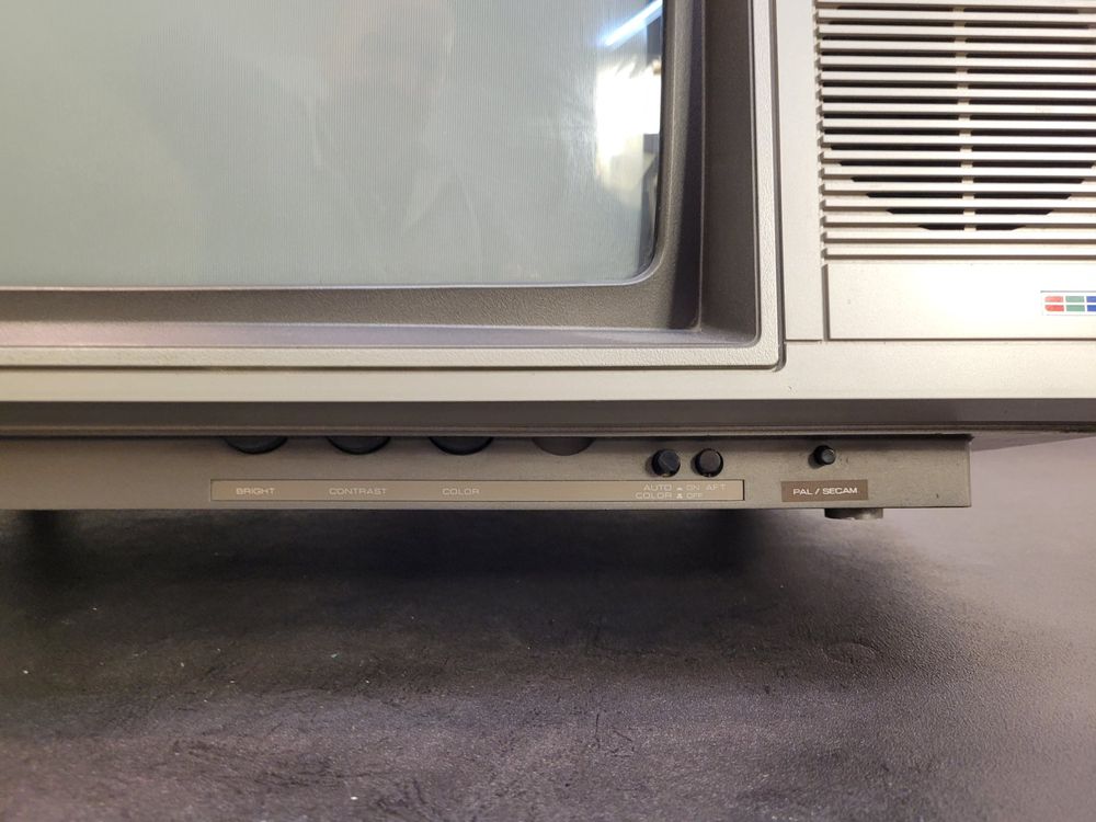 MAGNASONIC 5100 Color Röhren TV Fernseher mit Fernbedienung (Gebraucht ...