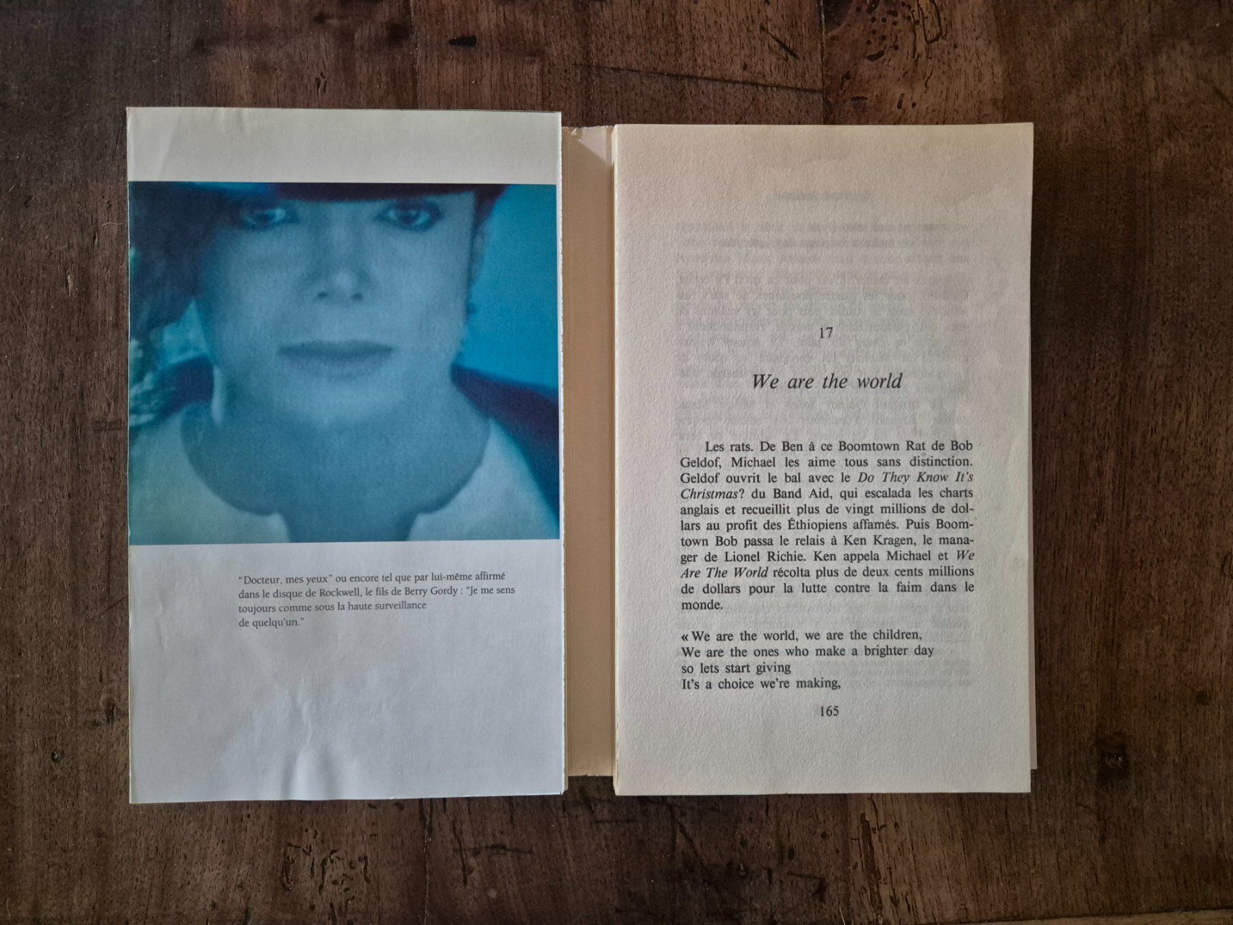 Livre Michael Jackson par Lee McLaren - 1992 - FR 📚 (D'occasion) à ...