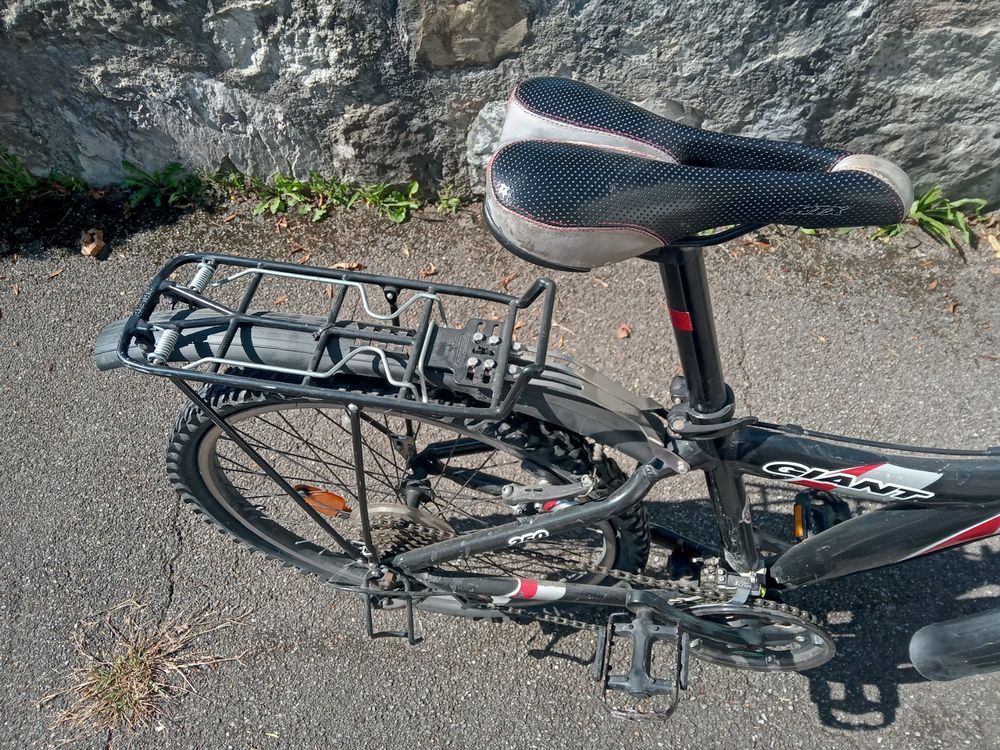 Giant MTX 250 (Defekt) in Kilchberg ZH für CHF 18 – nur Abholung auf ...