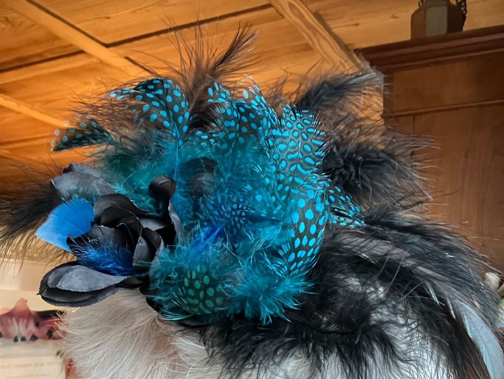 Fascinator Haarschmuck mit Federn (Gebraucht) in Bassersdorf für CHF 40 ...