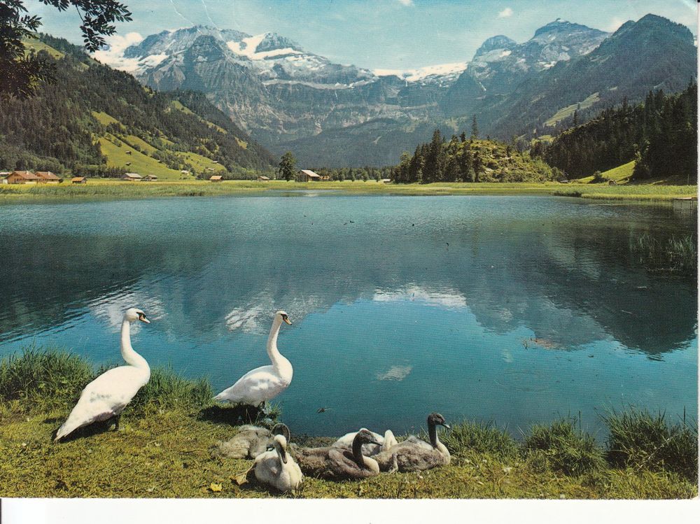 Lenk Seeli 1980 | Kaufen auf Ricardo