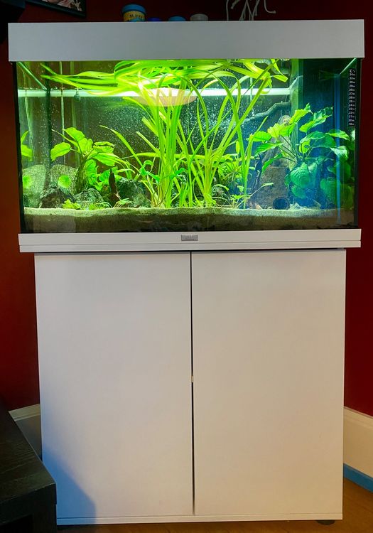 Aquarium mit Untergestell in weiss mit viel Zubehör 140L | Kaufen auf ...
