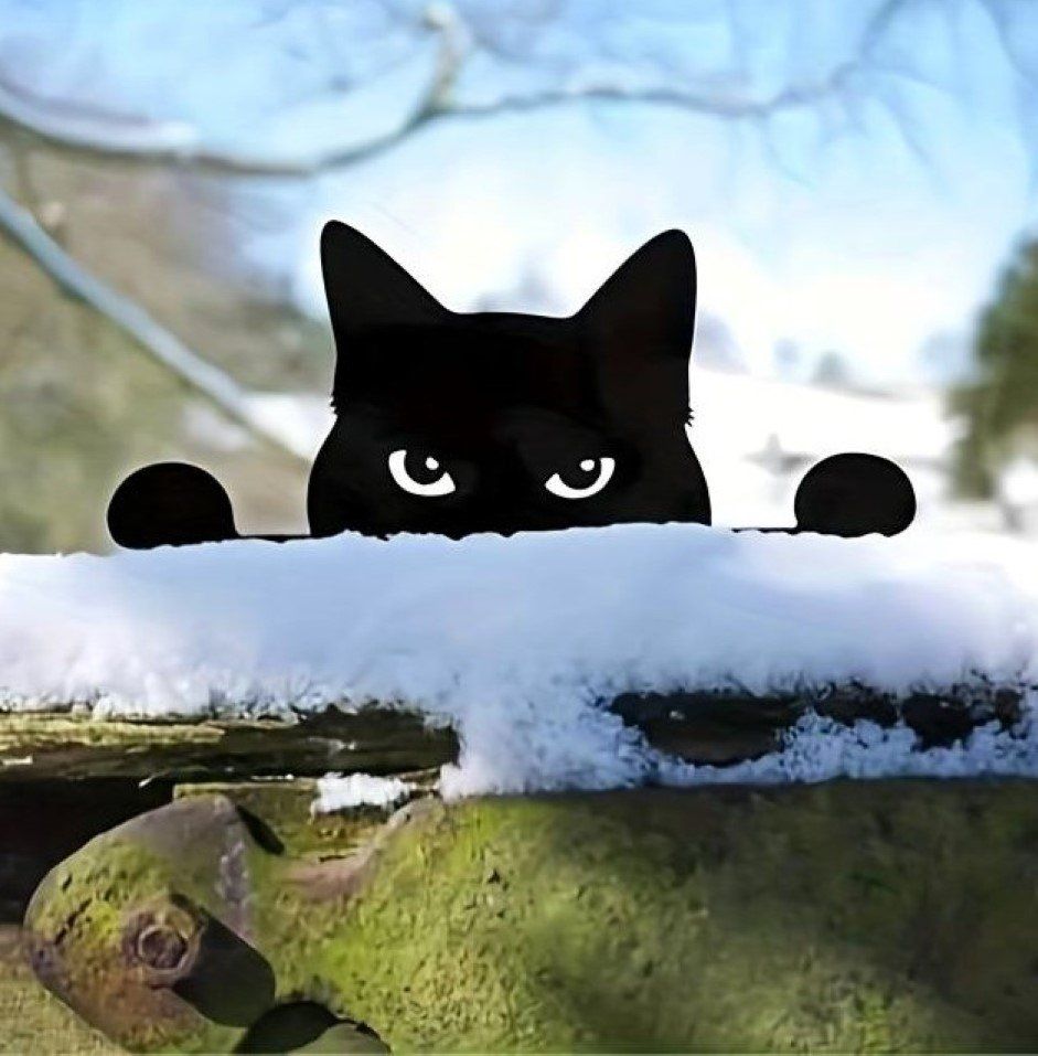 🐾 Coole Garten-Deko "BLACK CAT" 🐈‍⬛🐾 (Neu und originalverpackt) in ...