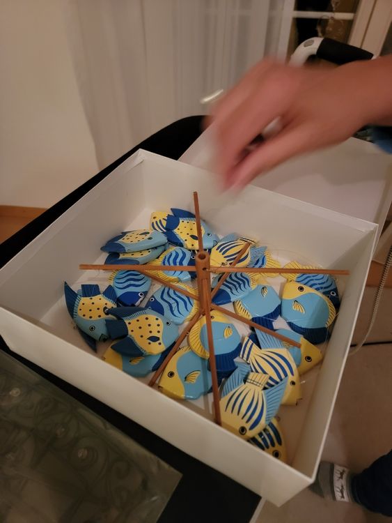 Fisch Mobilet (Gebraucht) in Haag (Rheintal) für CHF 10 – mit Lieferung ...