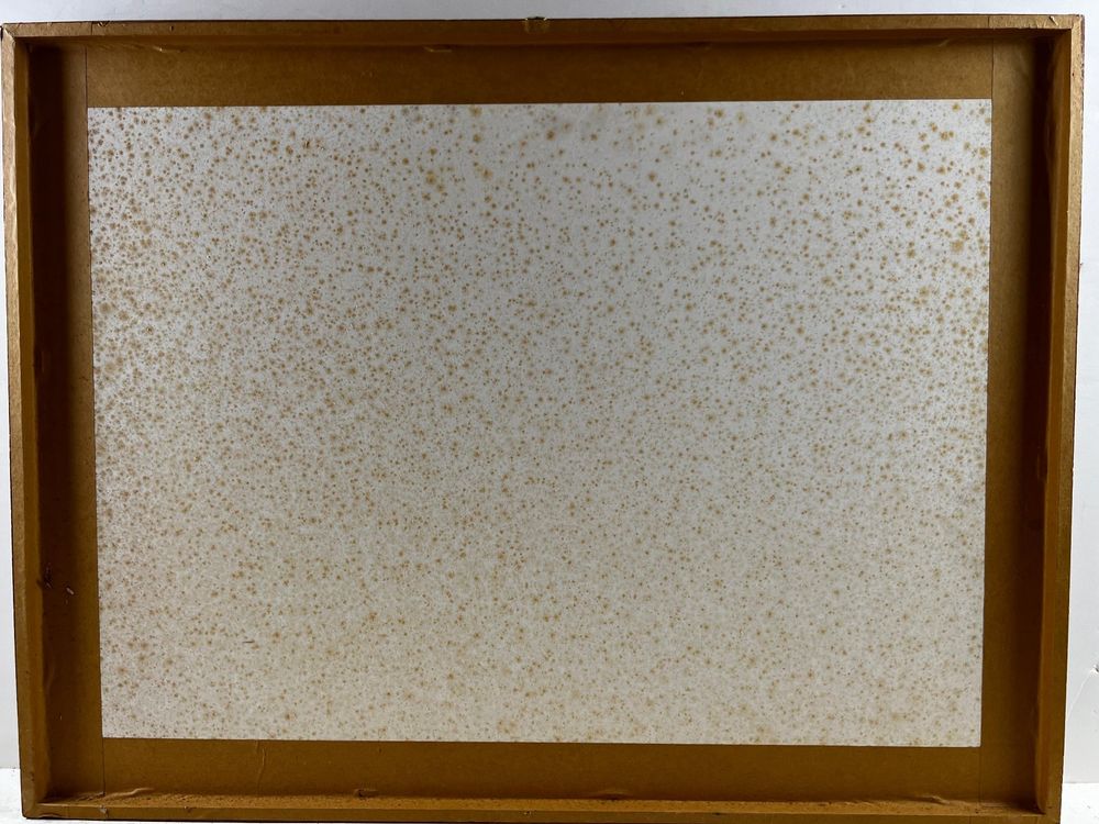 Alfred Probst (19??-1995) Art Brut Maler Handsigniert. | Kaufen auf Ricardo