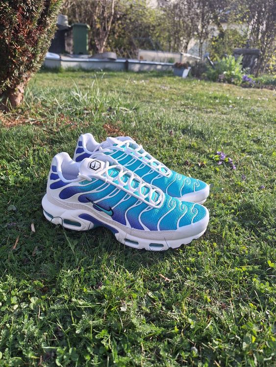 Nike Tn Air Aquatic (Neu (gemäss Beschreibung)) in Chur für CHF 150 ...