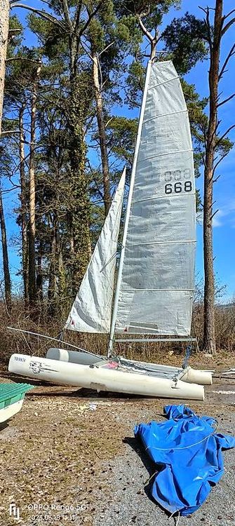 Katamaran Dart Hawk der Klass F18 | Kaufen auf Ricardo