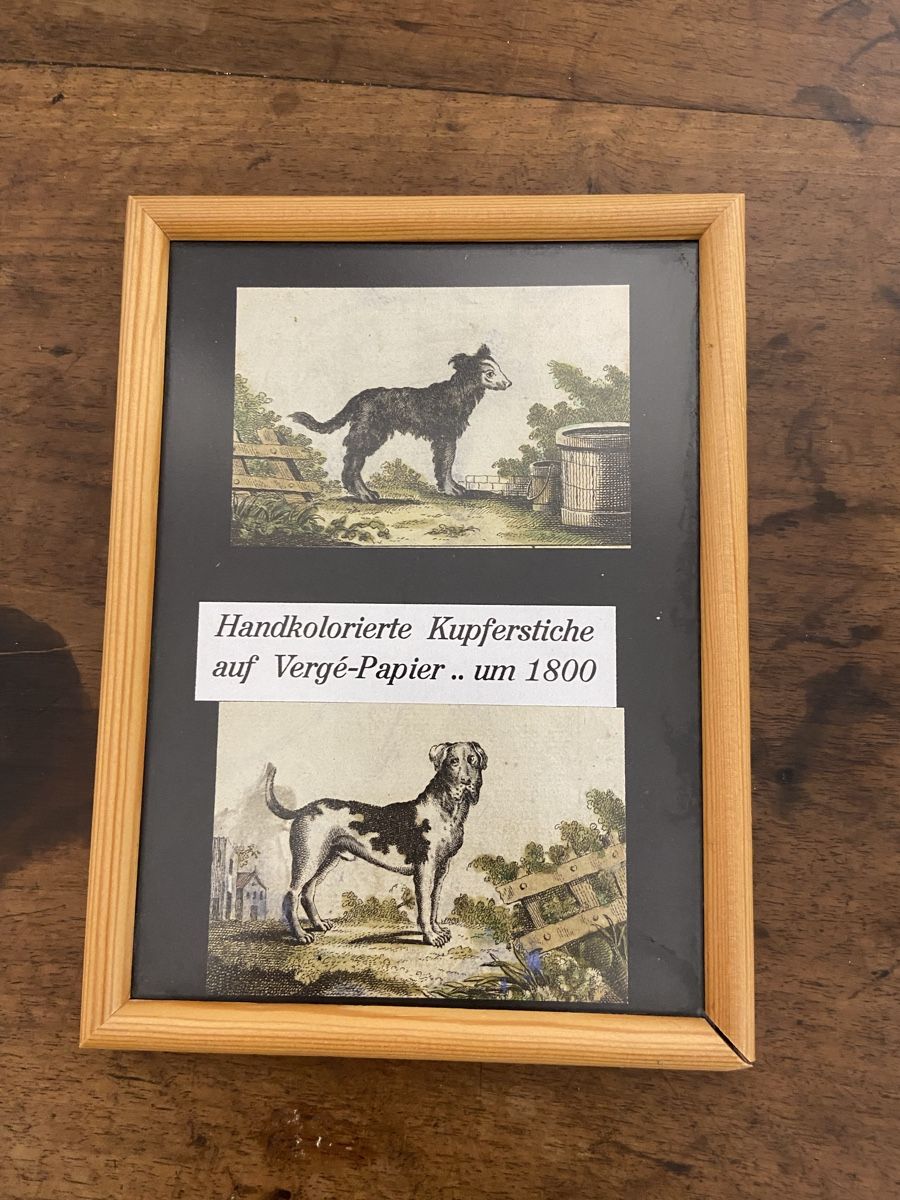 Antike Tierstiche, Hunde auf Vergé-Papier, um 1800🖼️ (Gebraucht) in ...