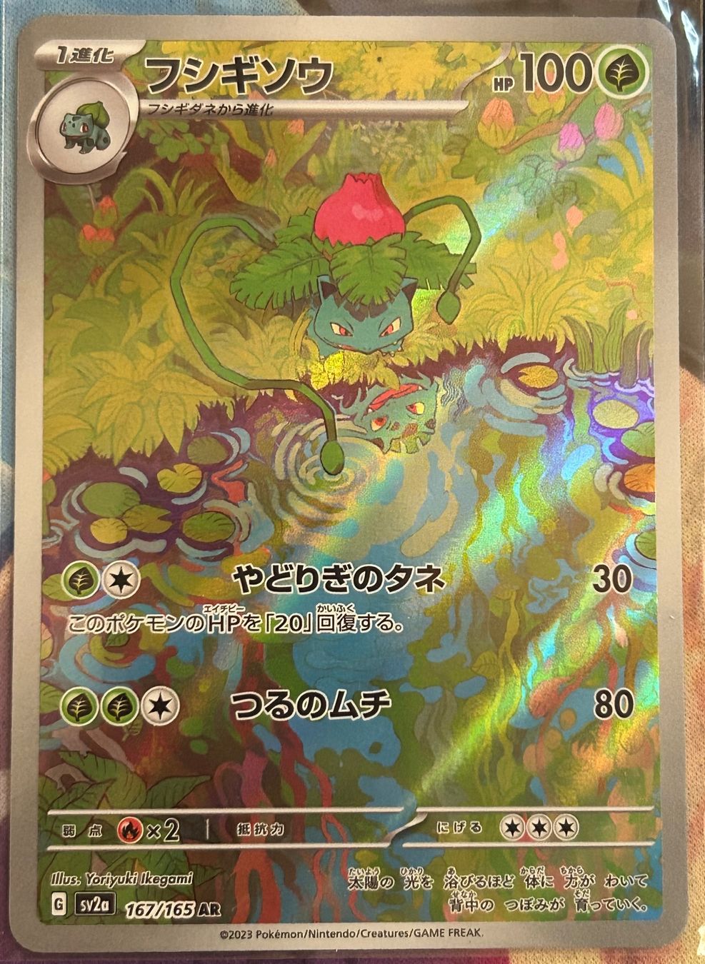 Bisaknosp/Ivysaur AR 167/165 🇯🇵 (Gebraucht) in Langenthal für CHF 1 ...