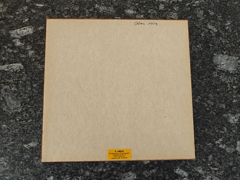 Venezianischer Stich – Piazza San Marco (Gebraucht) in Birr für CHF 25 ...