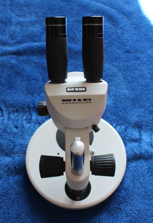 Microscope Wild M1B (D'occasion) à La Chaux-de-Fonds pour CHF 290 ...