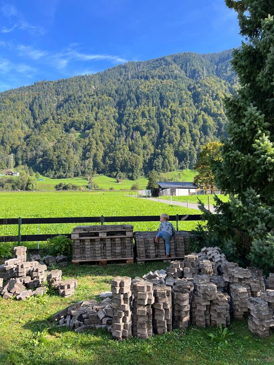 23m2 Verbundsteine, Kreuzsteine, Zementsteine | Kaufen auf Ricardo