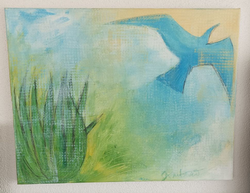 Charles Sambono Möwe (Jonathan) Aloe Vera Öl Pastell (Neu (gemäss ...