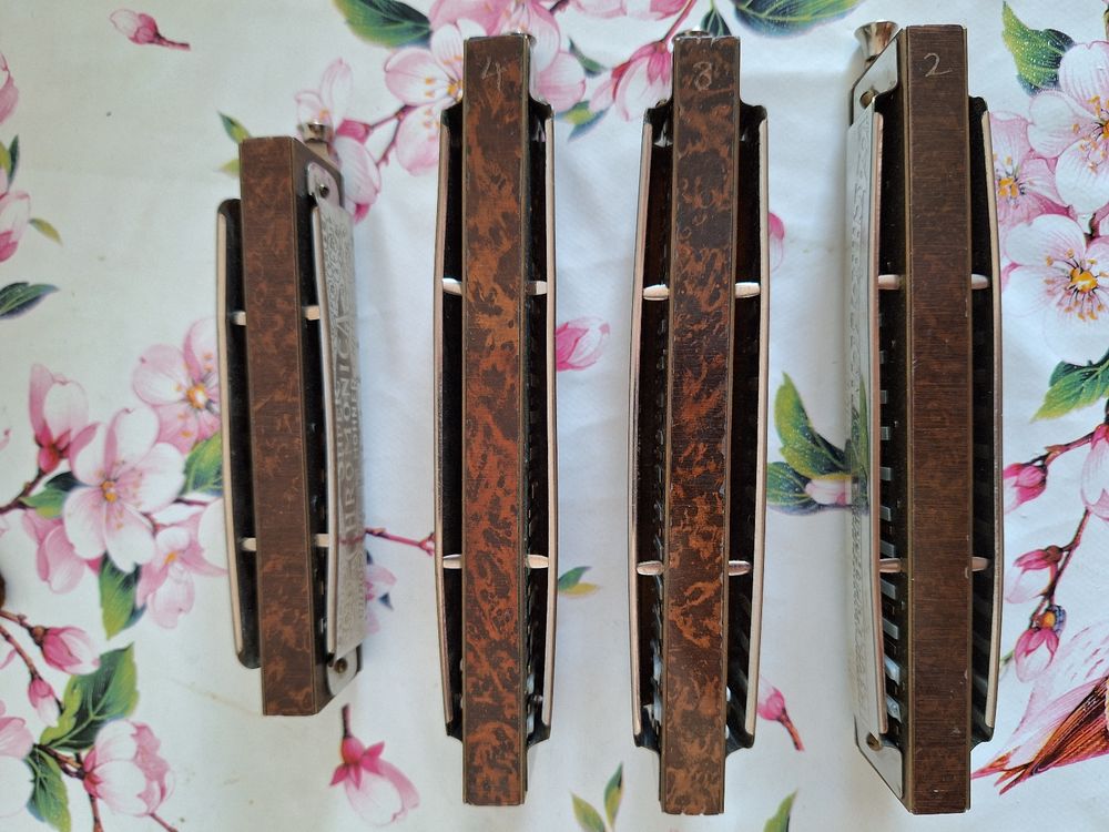 Hohner Harmonette Chromonica Limited Edition (Gebraucht) in Lugano für ...