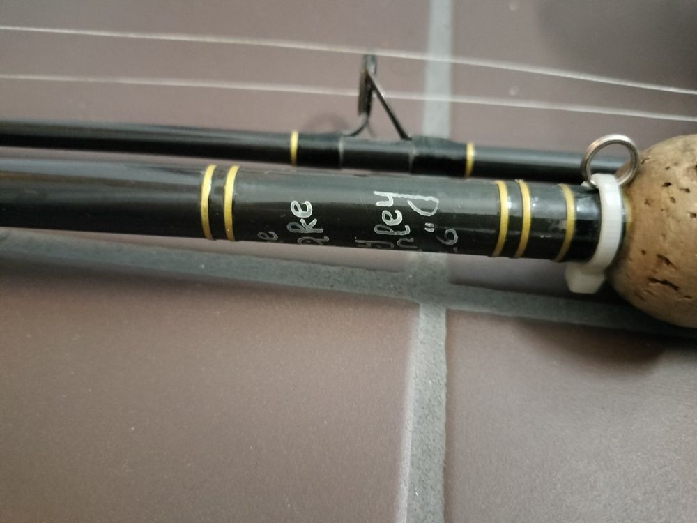 Alte Hechtrute mit dam Quick 3000 Rolle (Gebraucht) in Zürich für CHF ...