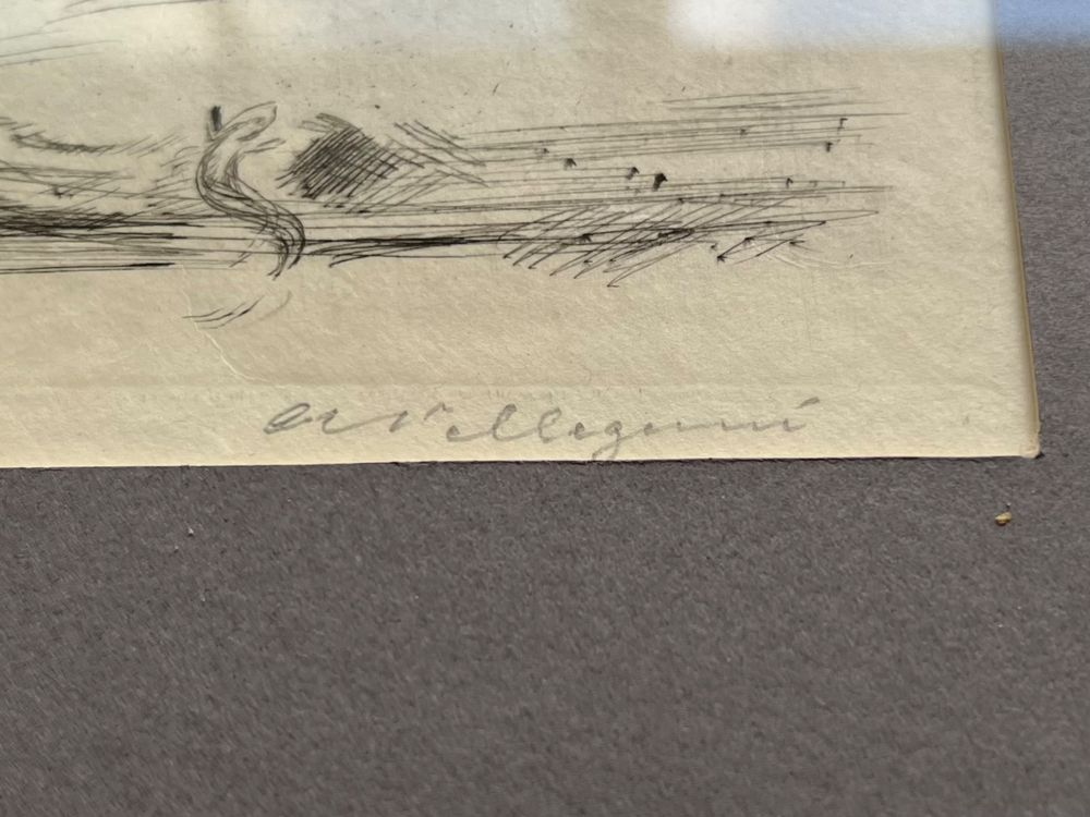 Alfred Heinrich PELLEGRINI (Gebraucht) in Zürich für CHF 5 – mit Lieferung auf Ricardo kaufen