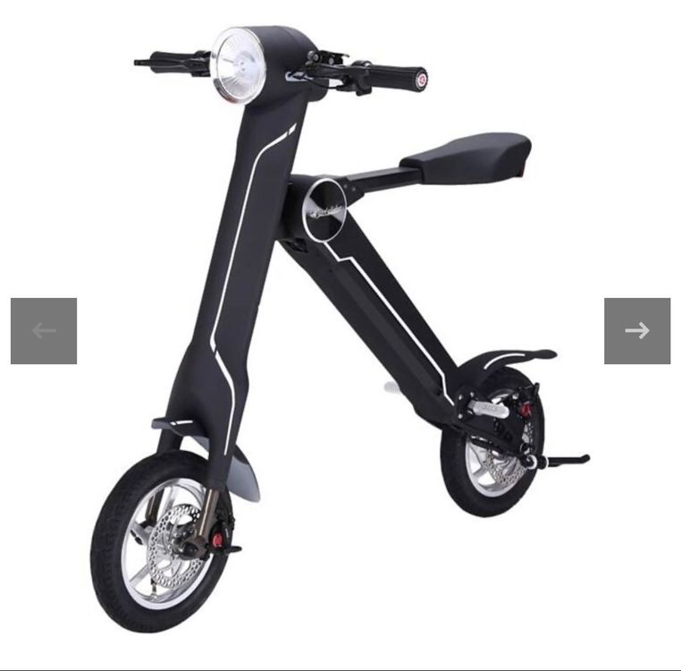Landglider Easy Scooter T25 (Gebraucht) in für CHF 290 – nur Abholung ...