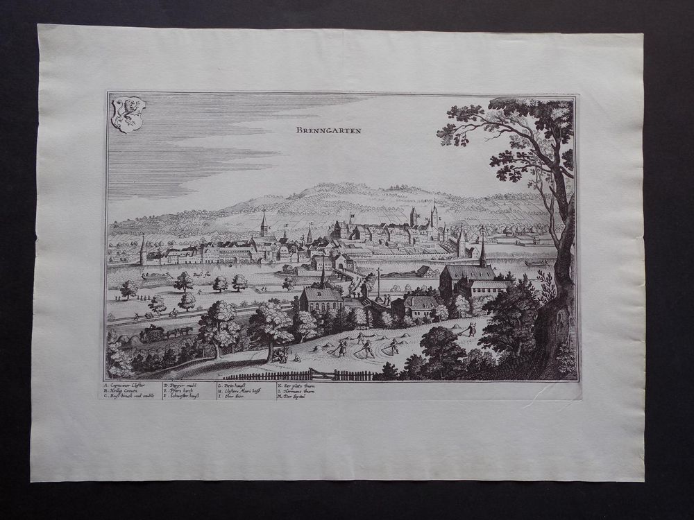 Bremgarten Merian | Kaufen auf Ricardo