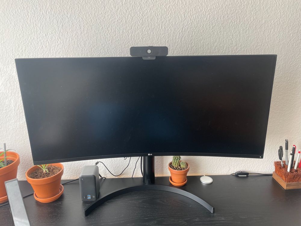 LG Ultra Wide Monitor (inkl. Dockingstation, Kabel, Webcam) (Gebraucht ...