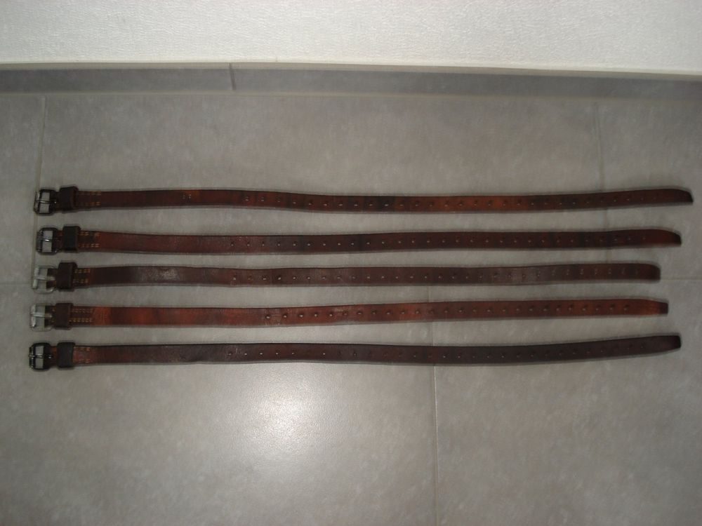 5 Stk. Packriemli von der CH-Armee echt Leder (Gebraucht) in Root für ...