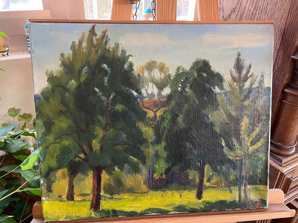 Carl Bauer - "Hain" - Oelbild (Gebraucht) in Stetten AG für CHF 50 – nur Abholung auf Ricardo kaufen