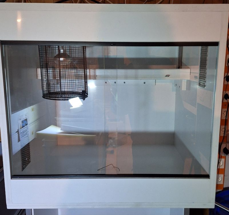 Forex Terrarium 19mm (Gebraucht) in Bad Ragaz für CHF 300 – nur ...