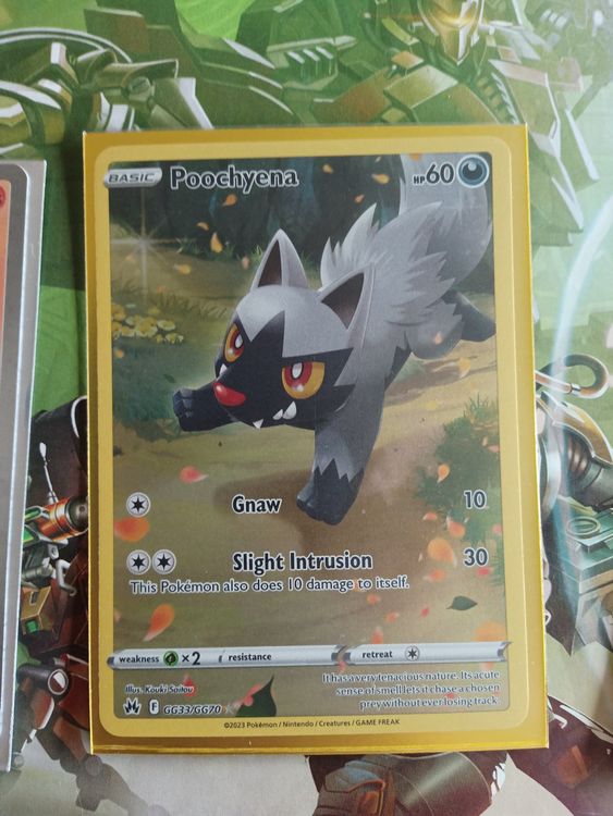 Poochyena Trainer Gallery - Pokemon | Kaufen auf Ricardo