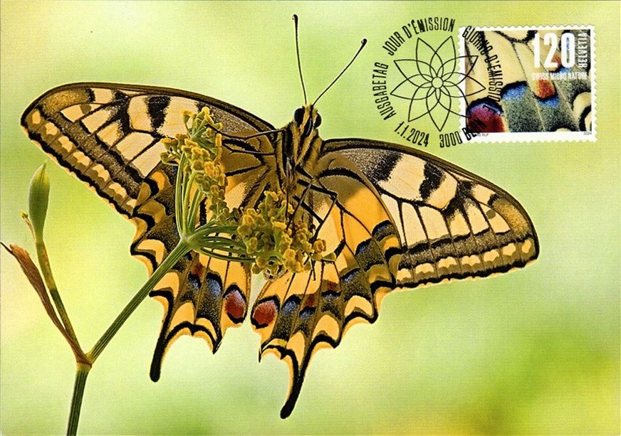 Maximumkarte Naturmuster - Schmetterling (Neu (gemäss Beschreibung)) in Dottikon für CHF 5 – mit ...