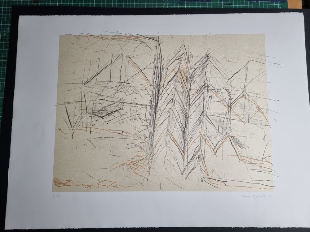 IRÈNE WYDLER ORIGINAL GRAFIK SIGNIERT NUMMERIERT (Gebraucht) in Gersau für CHF 68 – mit ...