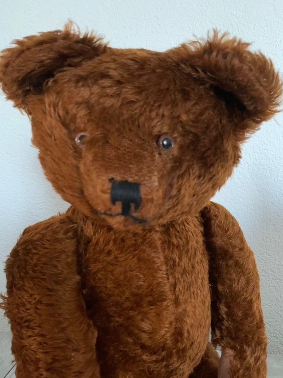 Antiker Teddybär (wohl 20iger-Jahre) | Kaufen auf Ricardo
