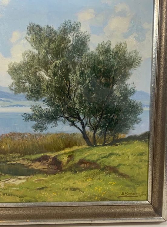 Jakob Edwin Bachmann (1873-1957) Zürichsee Gemälde (Gebraucht) in Niederglatt ZH für CHF 205 ...