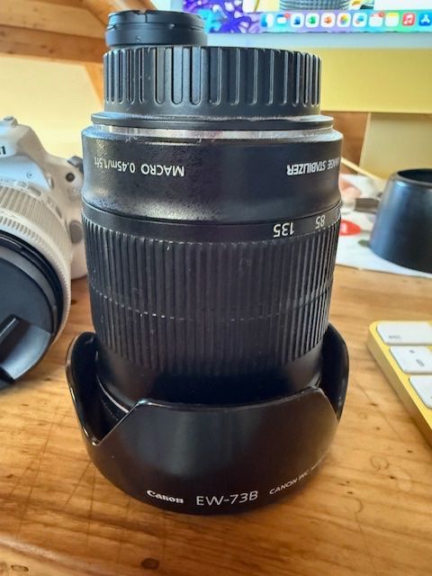 Set appareil photo Canon (Neuf (Voir description)) à Enges pour CHF 400 ...