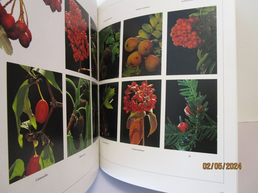 LIVRE LES FRUITS ET LÉGUMES DU MONDE " MICHEL VIARD " (Neu (gemäss ...