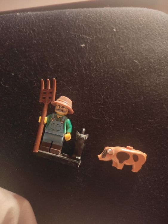 Lego Bauer mit Tieren (Neu (gemäss Beschreibung)) in Lyss für CHF 8 ...