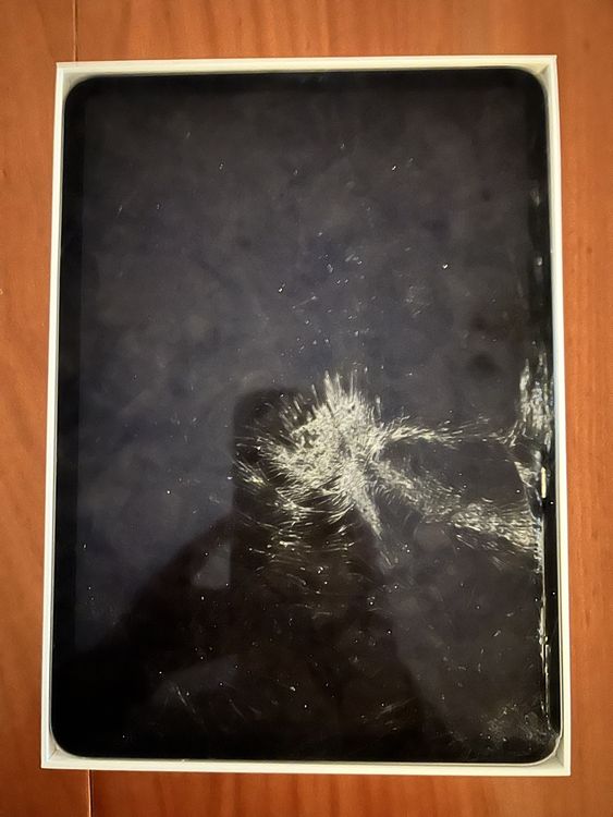 iPad Pro 11-inch (2. Gen) Wi-Fi 1TB - Display defekt (Defekt) in ...