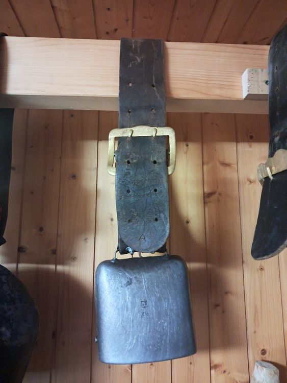 ASM 6.5 (Gebraucht) in Binn für CHF 74 – mit Lieferung auf Ricardo kaufen