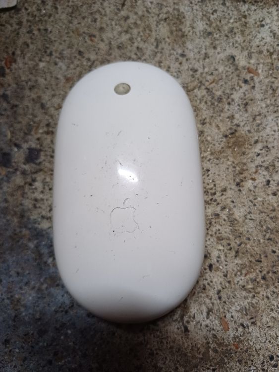 Apple Mouse | Kaufen auf Ricardo