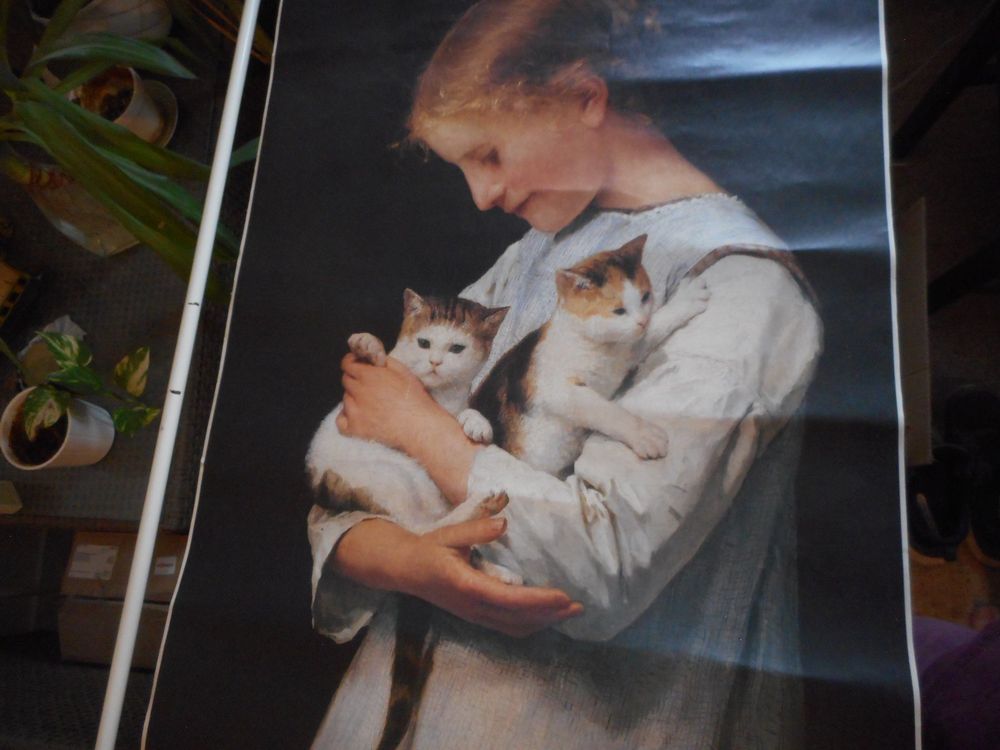 Ankerbild, Mädchen mit Katzen, Poster (Gebraucht) in Bretzwil für CHF 5 ...