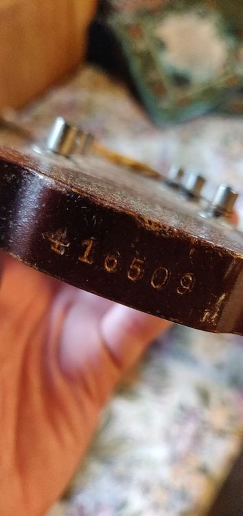 Guitare Herman Carlson Levin | Kaufen auf Ricardo