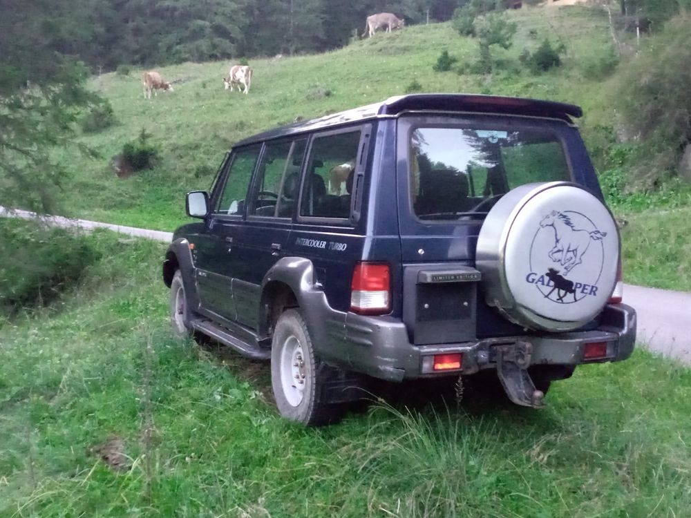 Hyundai Galloper | Kaufen auf Ricardo