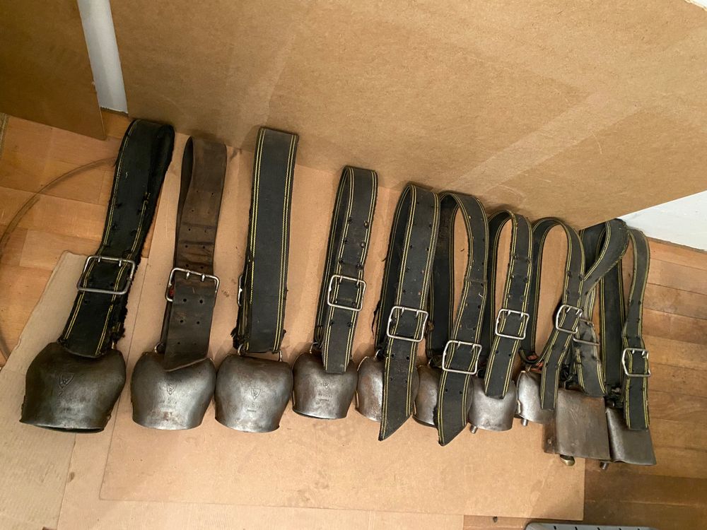 Rinder Treicheln , Schellen (Gebraucht) in Luzern für CHF 290 – mit ...