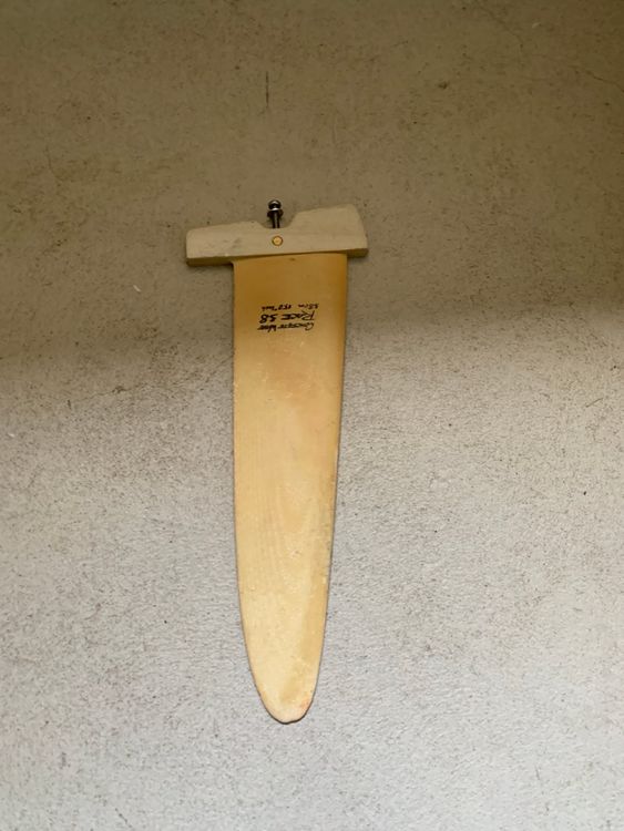 Windsurfbrett F2 Comet 170 l, 330cm (Gebraucht) in Buchs ZH für CHF 30 ...