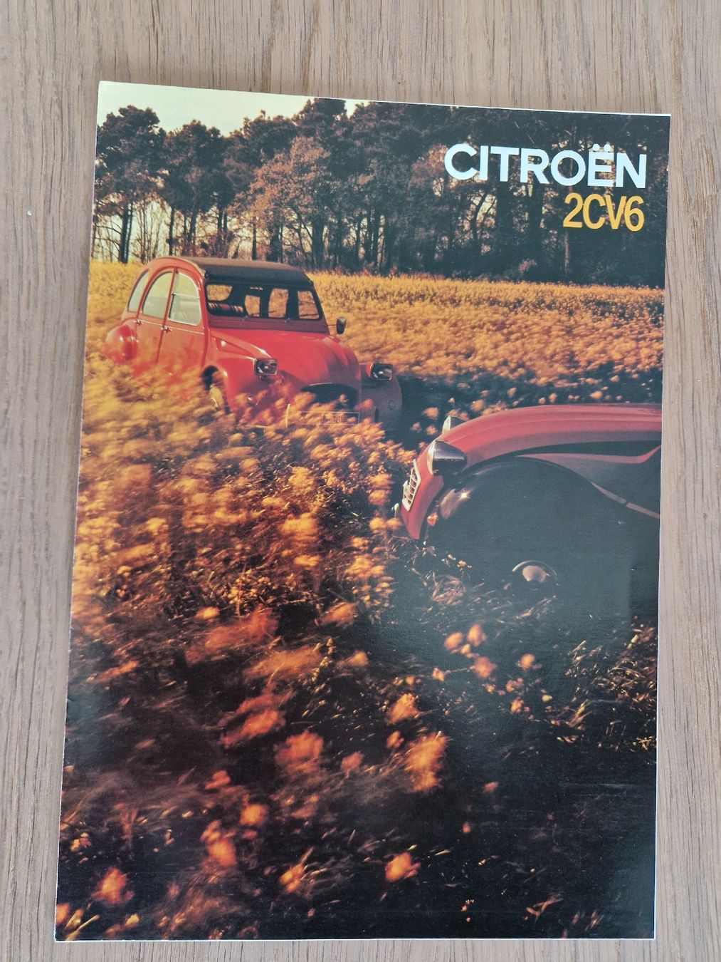 Prospekt Broschüre Citroën 2CV6 Spécial + Charleston 1982 (Gebraucht ...