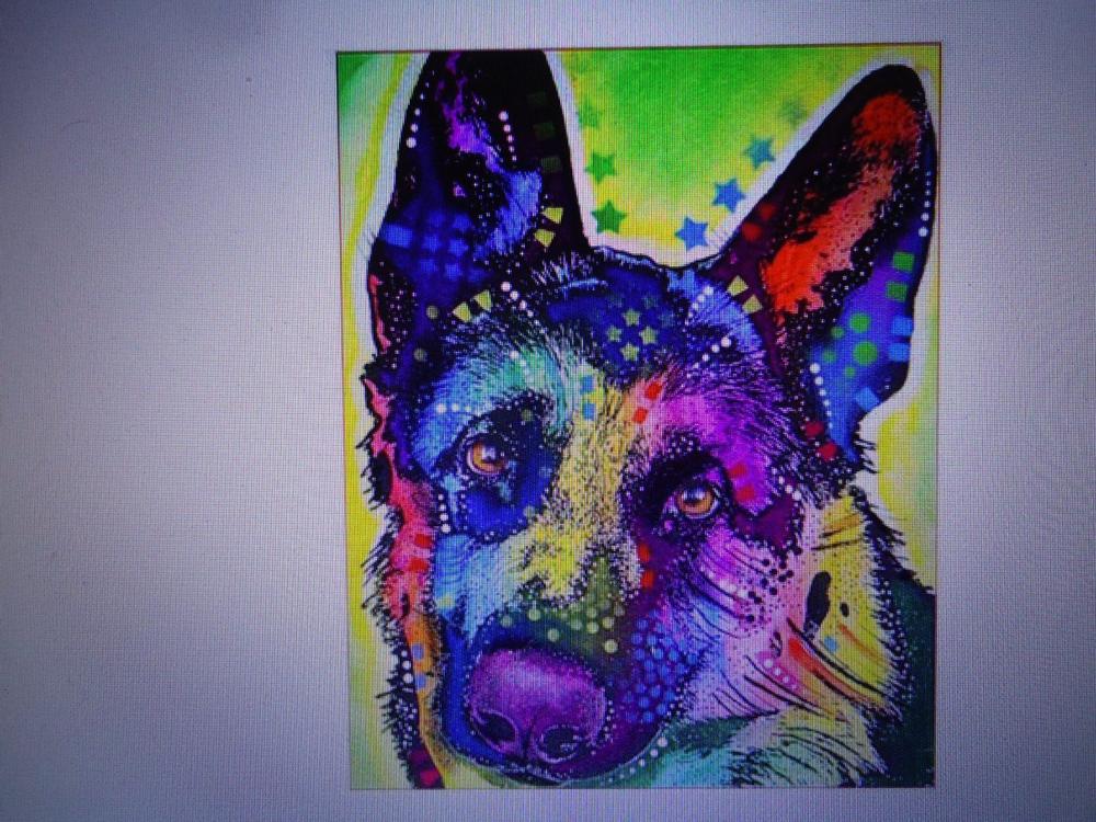 neu! Malen nach Zahlen, 40 x 50 cm, alles dabei + Rahmen | Kaufen auf Ricardo