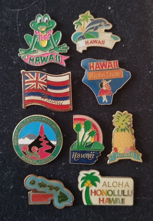 9 Hawaii USA Pins (Neu (gemäss Beschreibung)) in Wetzikon ZH für CHF 9 ...