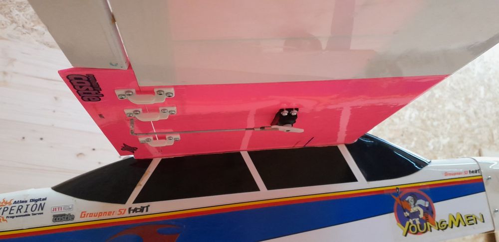 Tiger Trainer 60 Elektrisch mit 4 Klappenflügel und SK (Gebraucht) in ...